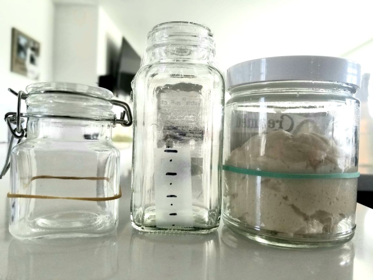 Caring for Your Yeast | Natural Yeast Society