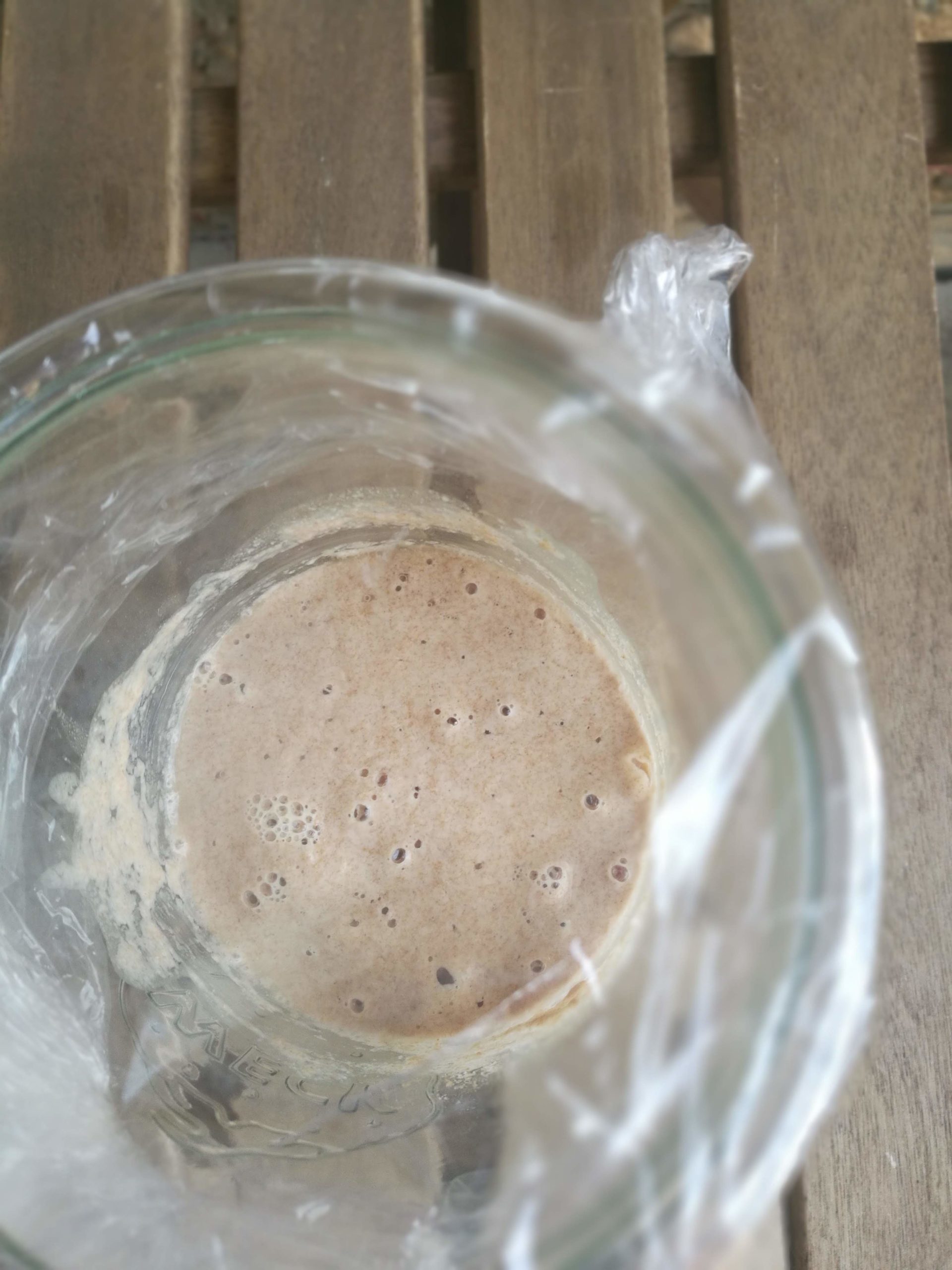 Liquid vs. Solid culture | Natural Yeast Society